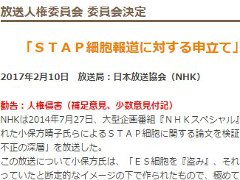 BPO、「NHKスペシャル」のSTAP細胞報道に勧告 小保方さんへの名誉毀損があった | ねとらぼ