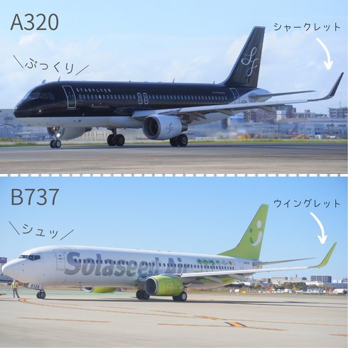 顔と羽根で全てが分かる 小型ジェット機「エアバスA320」と「ボーイング737」の見分け方（1/2） | ねとらぼ