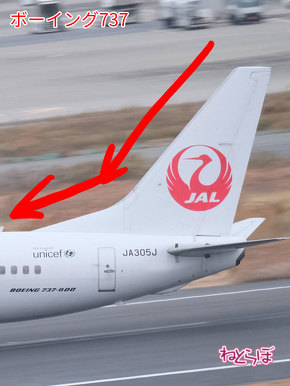 顔と羽根で全てが分かる 小型ジェット機「エアバスA320」と「ボーイング737」の見分け方（1/2） | ねとらぼ